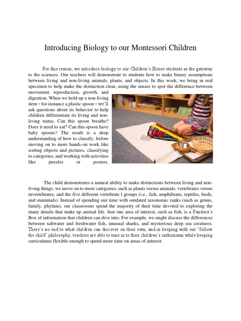 Introducing Biology To Our Montessori Children | PDF | Montessori ...