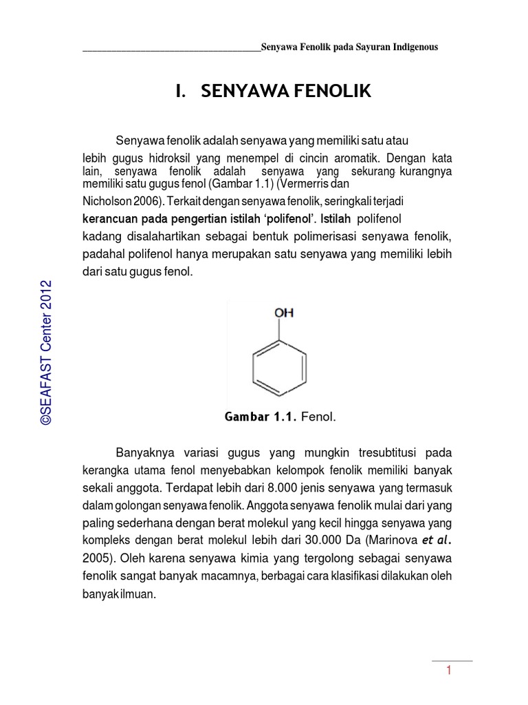 1 Senyawa Fenolik | PDF