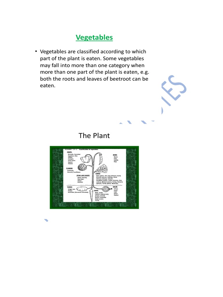 Vegetables and Fruits Handout | PDF | Vegetables | Carrot