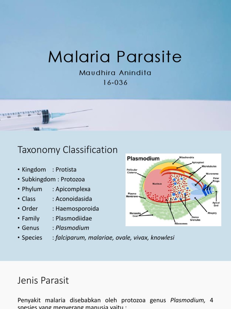 Case 1. Parasit Malaria | PDF | Sains & Matematika