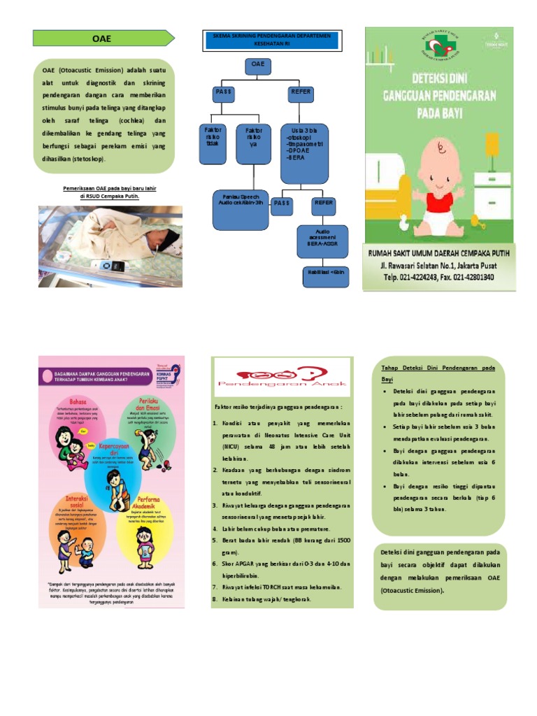 Leaflet Oae | PDF | Sains & Matematika