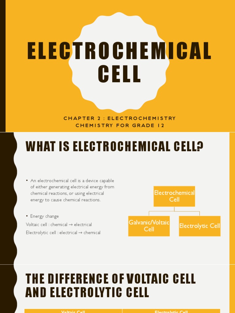 Electrochemical Cells for Grade 12 | PDF | Electrochemistry | Electricity