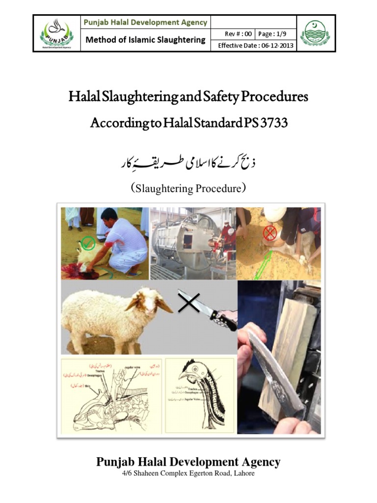 Animal Slaughtering As Per Islam | PDF | Rights | Islamic Ethics