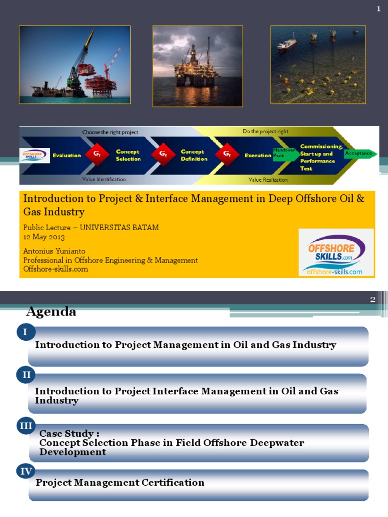 Intro To PM Oil and Gas Industry-Public Share | PDF | Project ...