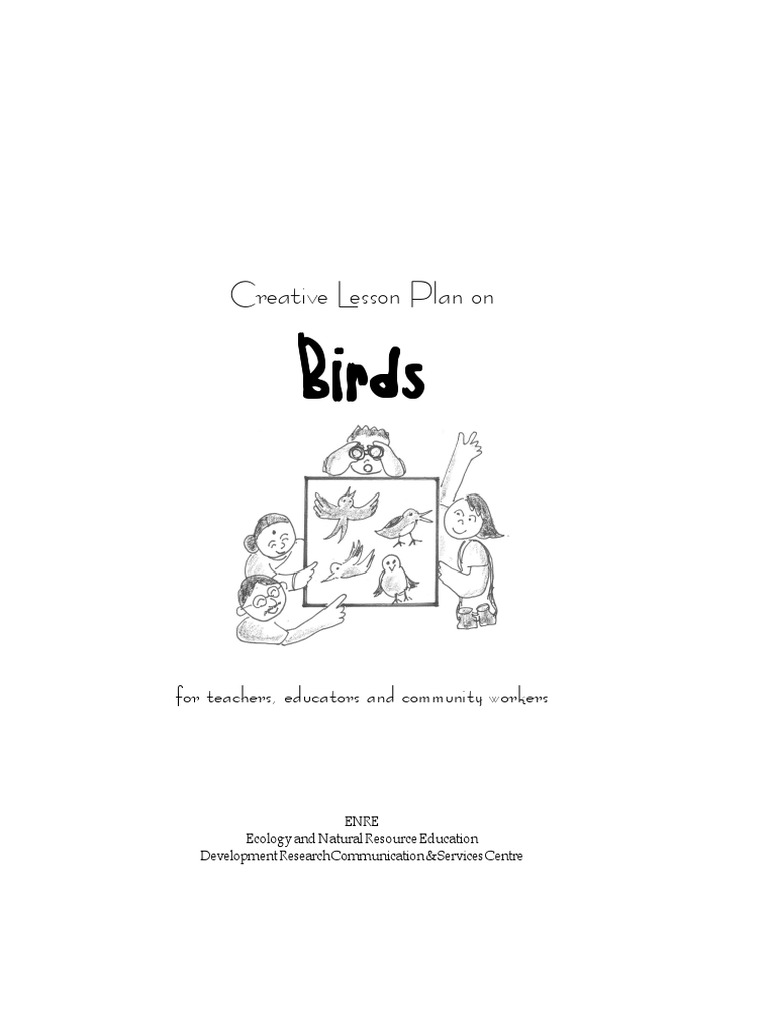 Birds | PDF | Lesson Plan | Curriculum