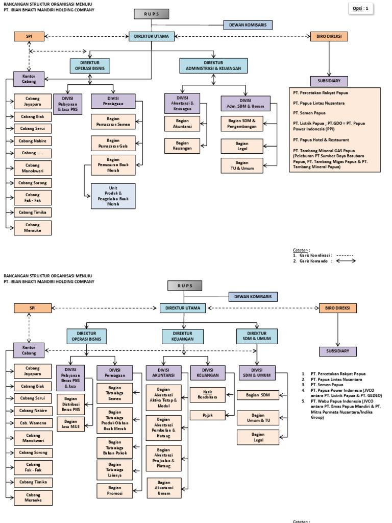 Rancangan Struktur Organisasi PT - Ibm | PDF