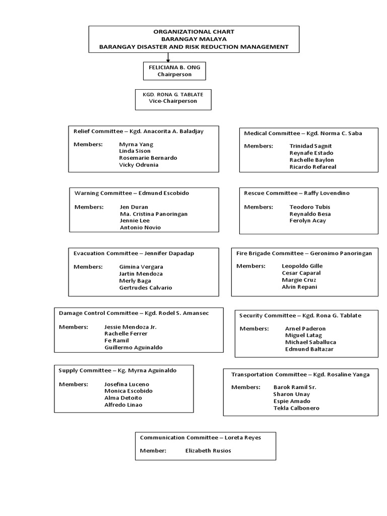 Organizational Chart Barangay Malaya Barangay Disaster and Risk ...