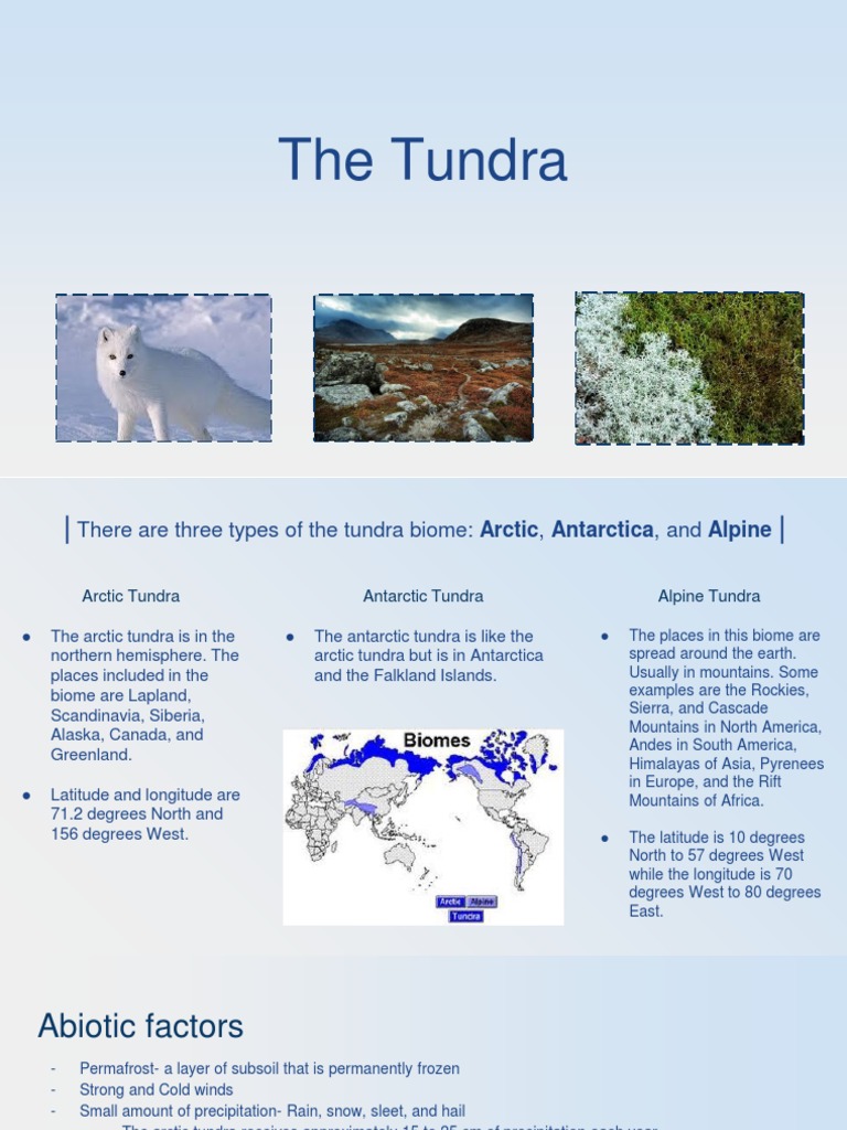 Antarctic Tundra Biome