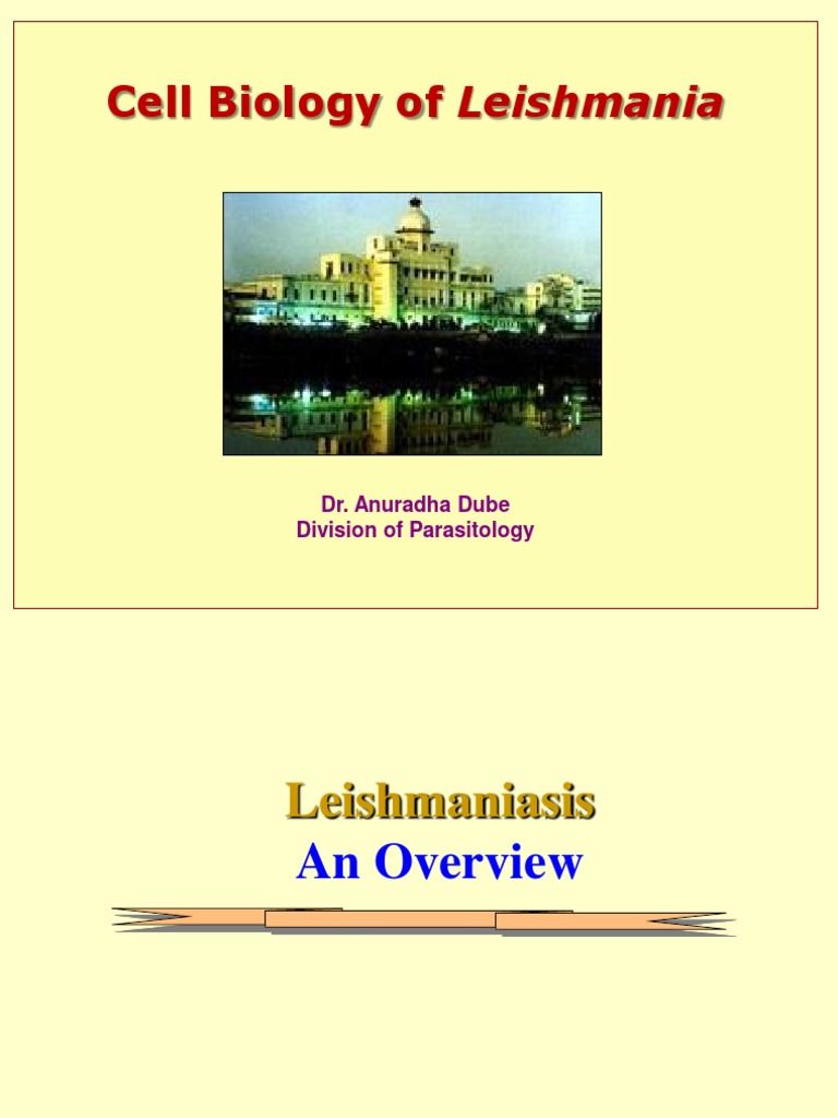 Cell Biology of Leishmania: Dr. Anuradha Dube Division of Parasitology ...