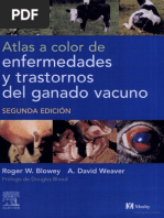 Kitty Magic | PDF | Anesthesia | Surgery