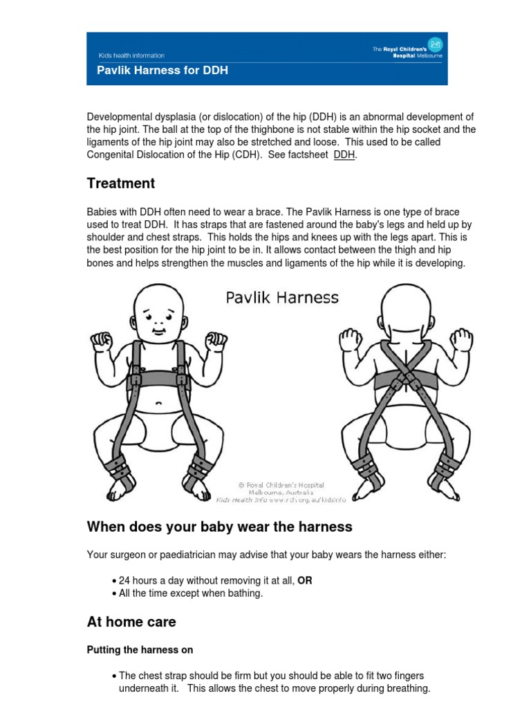 Harness | Musculoskeletal System | Clinical Medicine