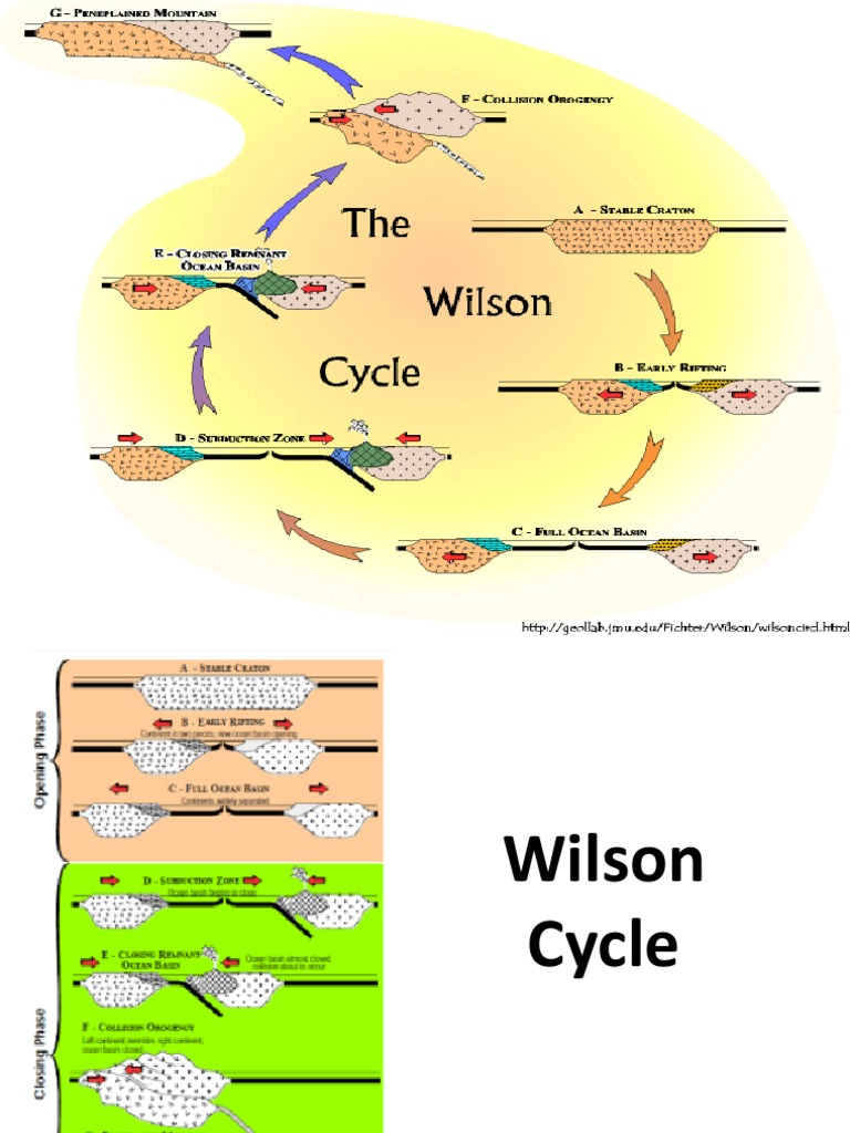 Wilson Cycle 1 | PDF