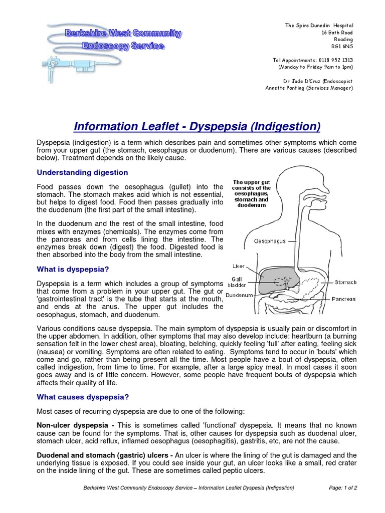 Information Leaflet - Dyspepsia (Indigestion) : Understanding Digestion ...