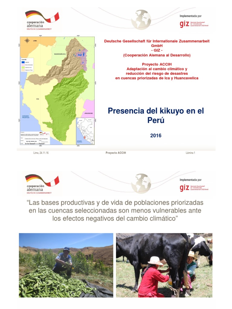 Presencia y manejo del kikuyo en Perú | PDF | Agricultura | Naturaleza
