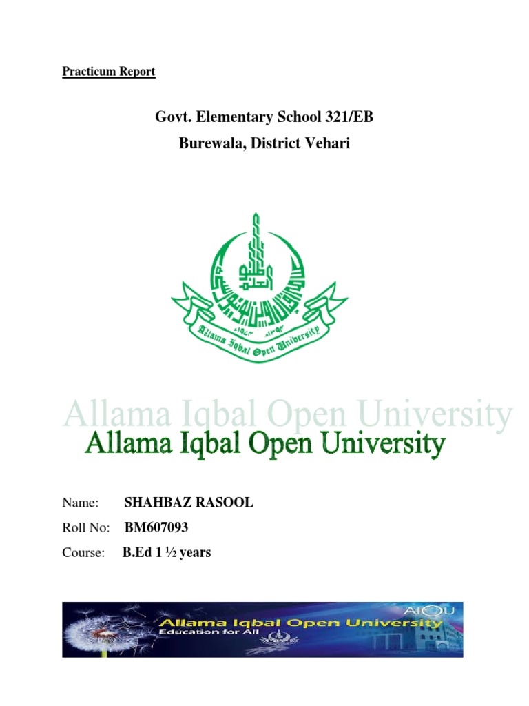 Practicum Report | PDF | Human Resource Management | Employment