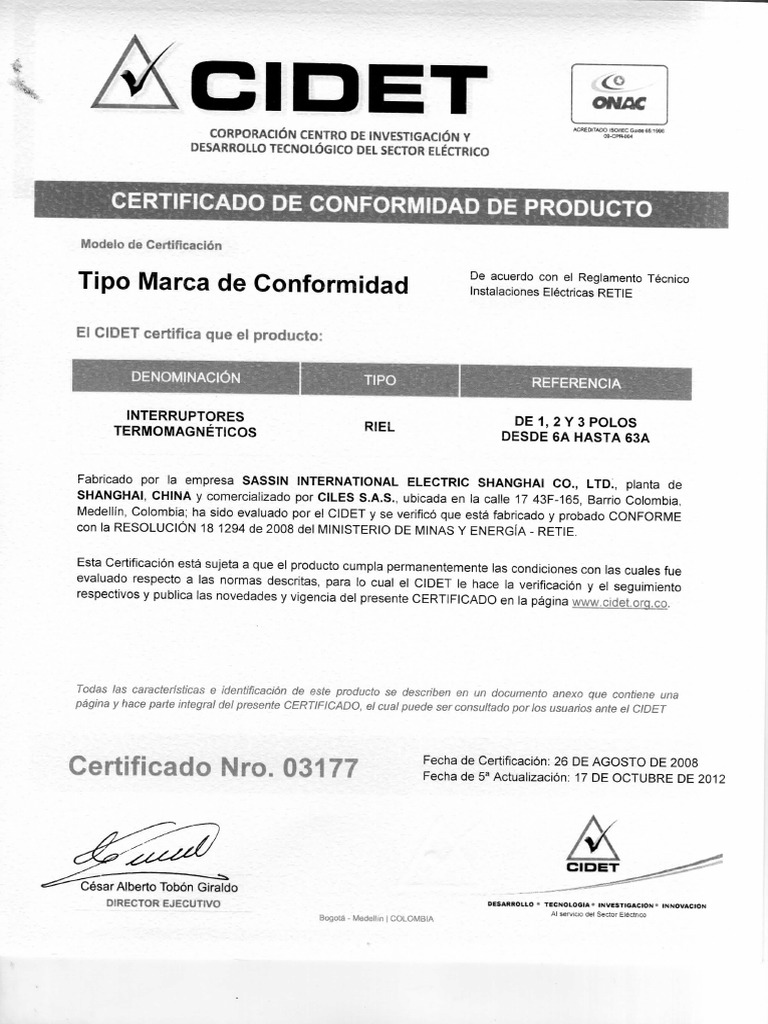 Certificado Cidet PDF | PDF