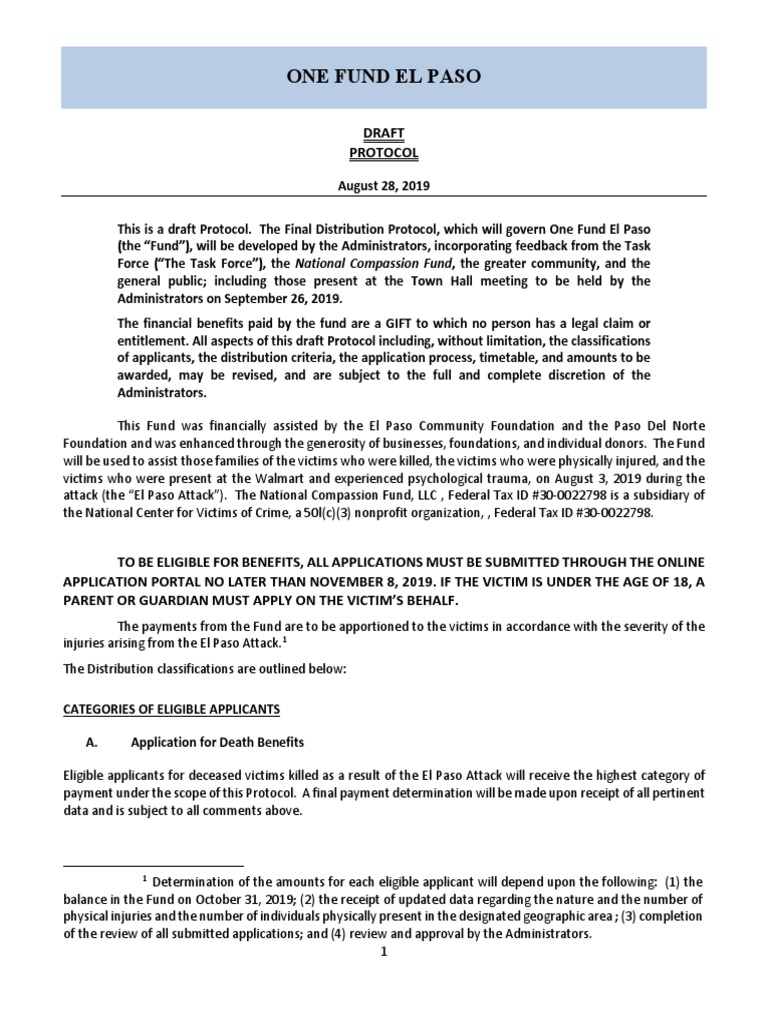 Draft Protocol El Paso | PDF | Legal Guardian | Probate