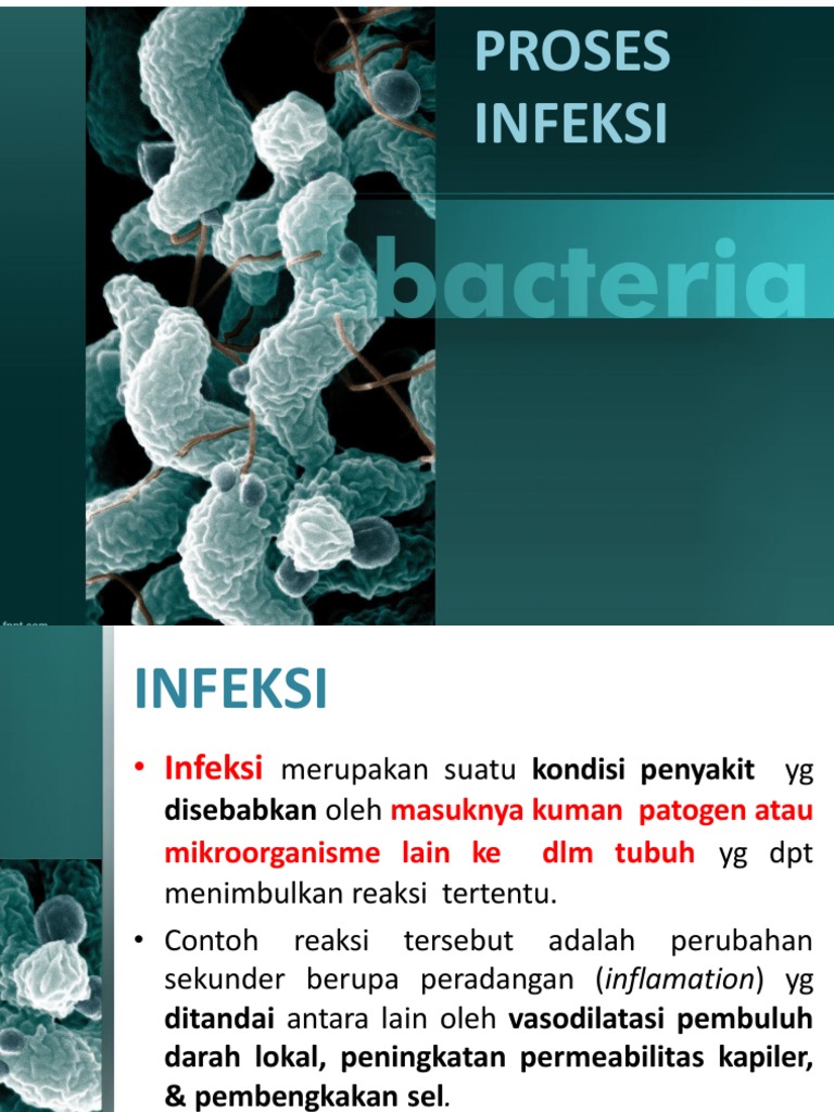 Proses dan Tanda Infeksi Mikroba | PDF