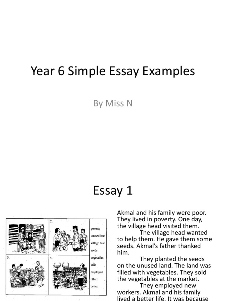 Paper 2 Section C | PDF