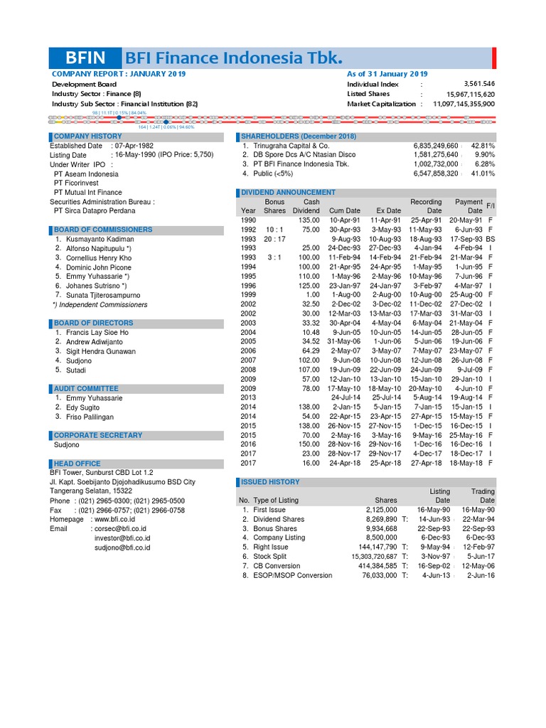 Bfin | PDF | Revenue | Financial Accounting