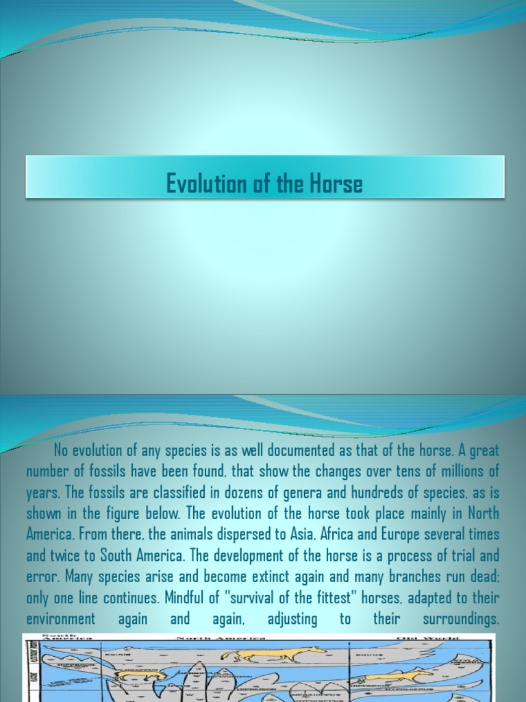 Presentation 1 | PDF | Equus (Genus) | Horses