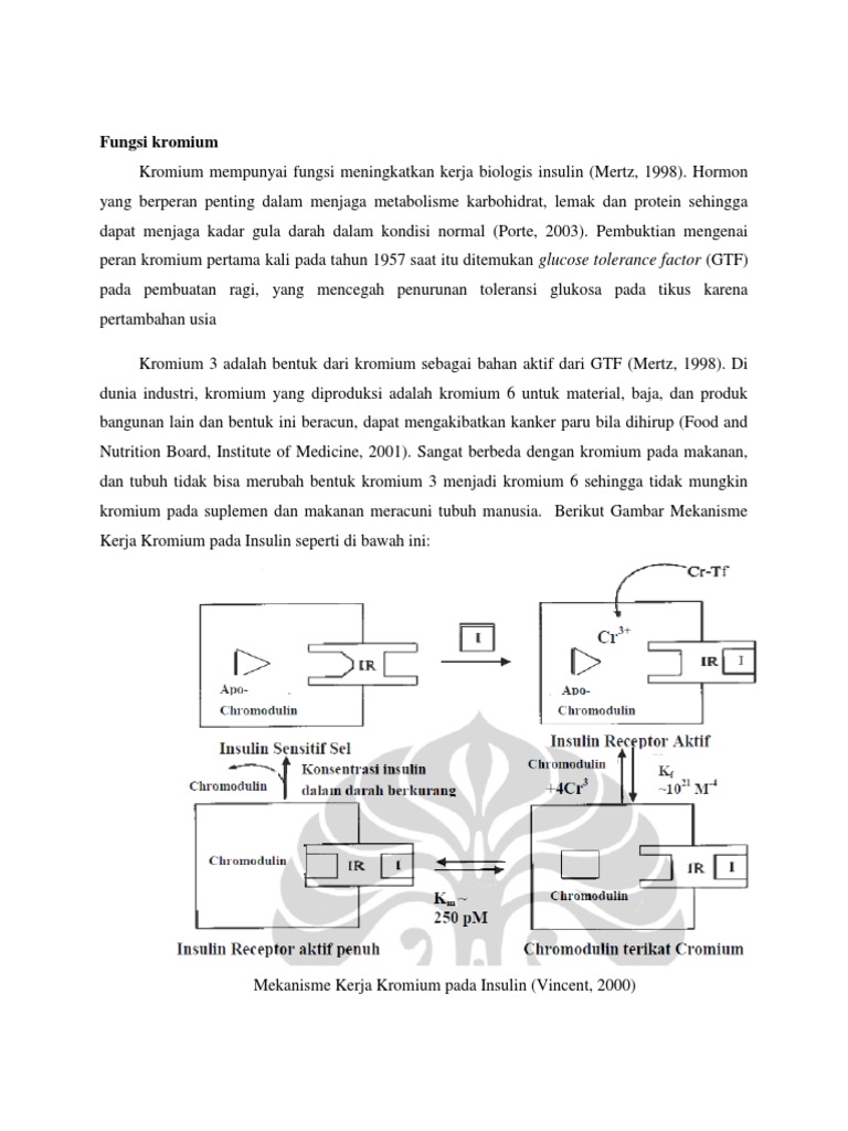 Fungsi Kromium | PDF