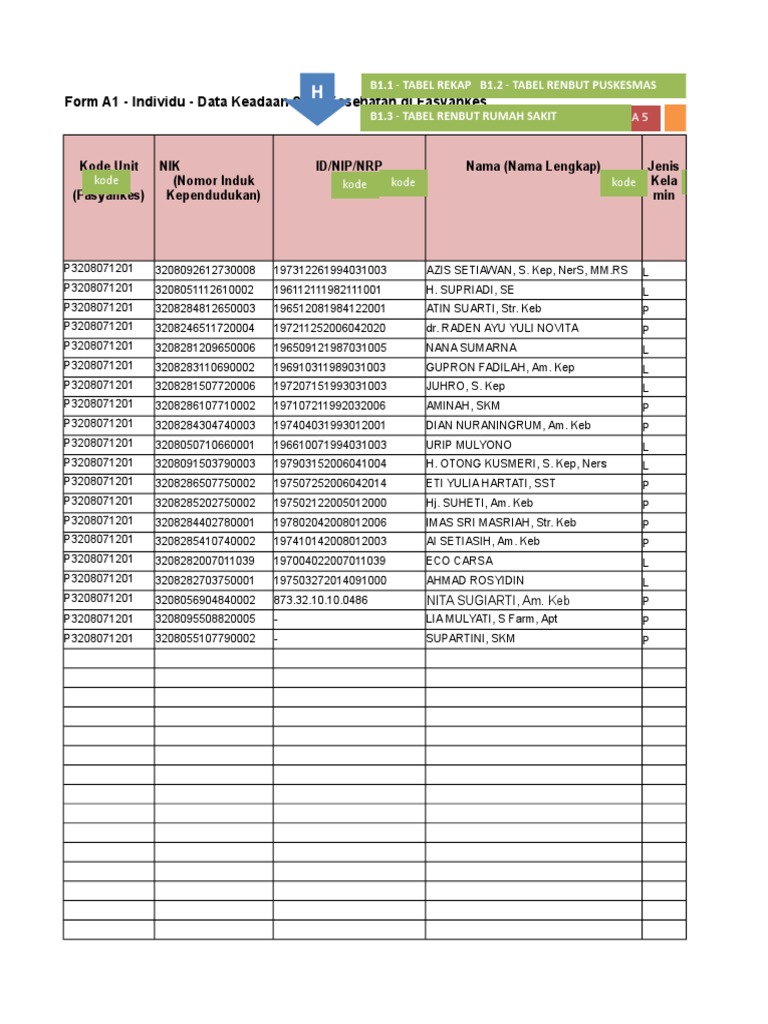 Form SDMK Puskesmas | PDF