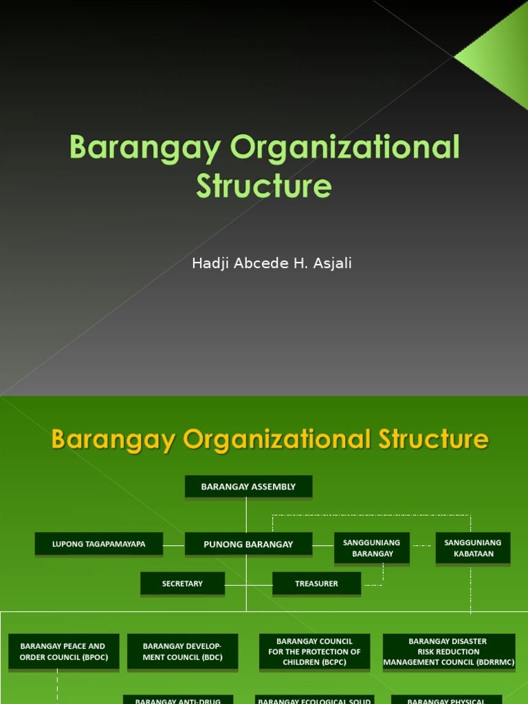 Barangay Governance | PDF | Municipal Solid Waste | Non Governmental ...