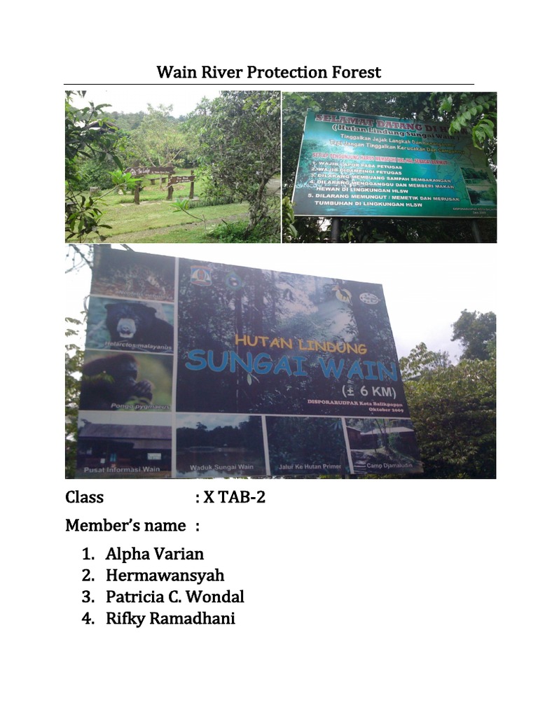 Hutan Lindung Sungai Wain | PDF | Nature