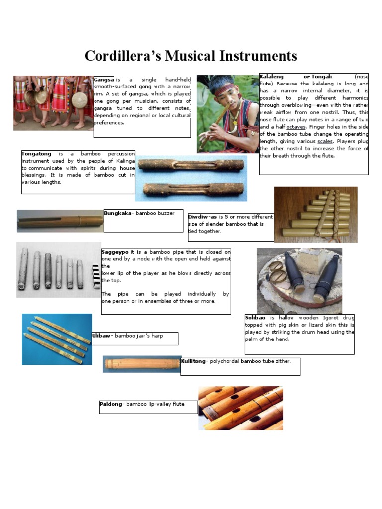 Palawan Mindoro | PDF | Musical Instruments | Flute