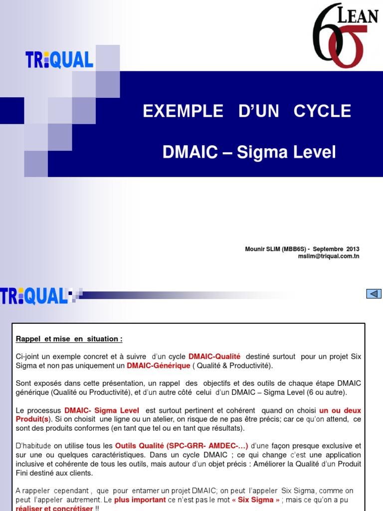 Exemple de projet DMAIC Six Sigma | PDF | Six Sigma | Secteurs de l ...