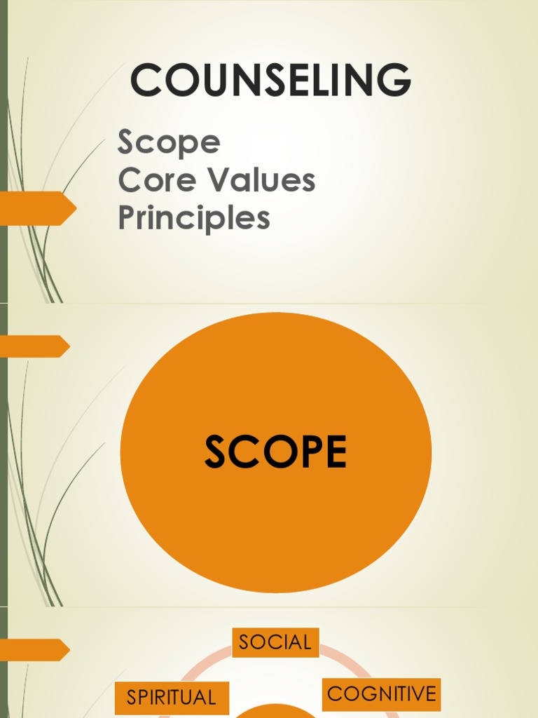 Scope, Core Values, Principles, Roles, & Competencies | PDF ...