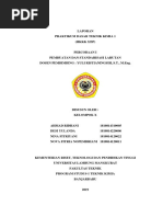 Larutan Standar | PDF