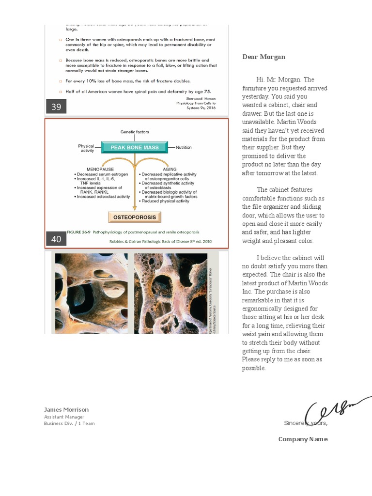 Dear Morgan: James Morrison | PDF