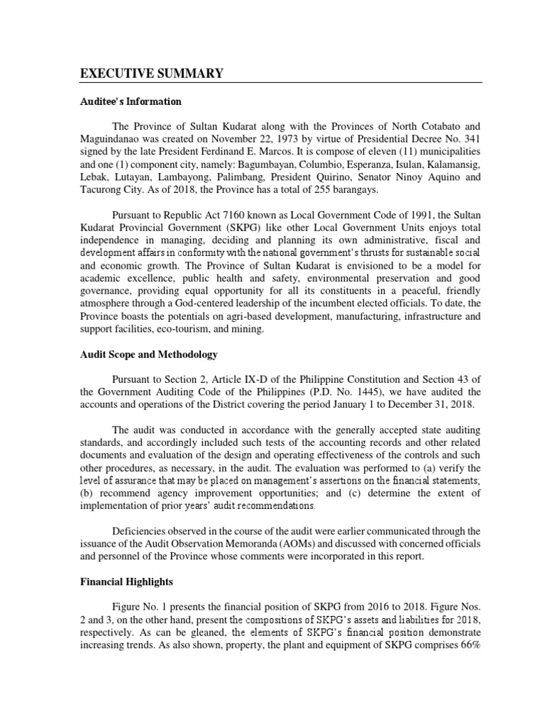 Executive Summary: Auditee's Information | PDF | Audit | Internal Control