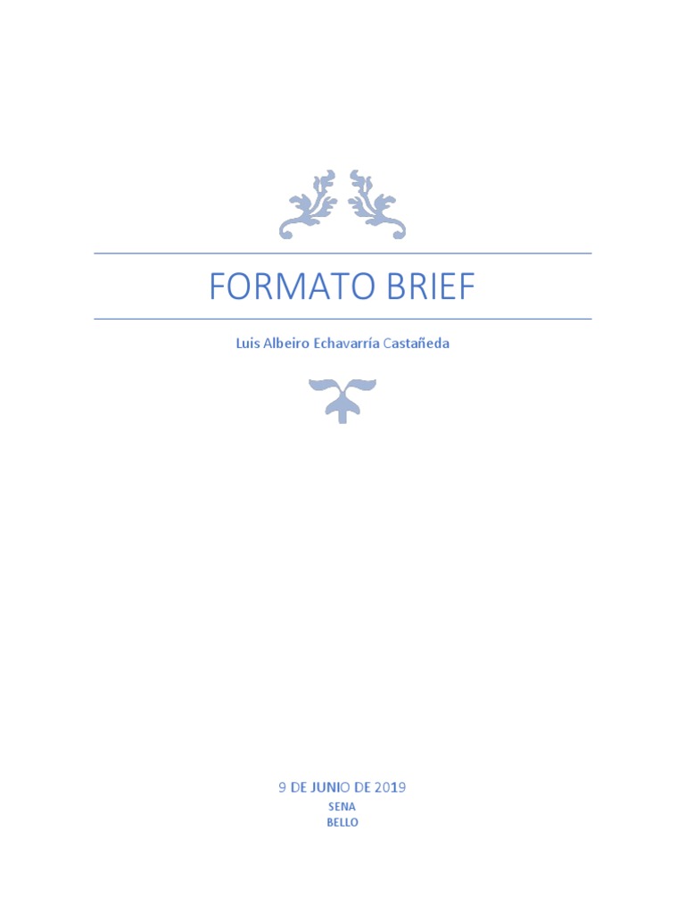 Formato Brief: Luis Albeiro Echavarría Castañeda | PDF | Business ...