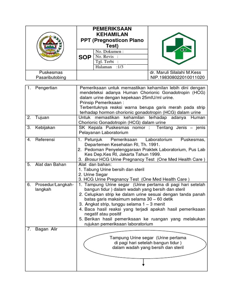 Sop Plano Test | PDF