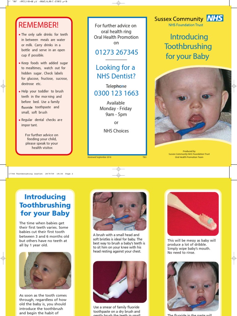 Introducing Toothbrushing Forbaboies | PDF | Human Tooth | Sucrose