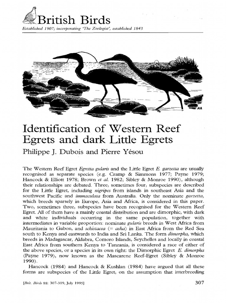 British Birds | PDF | Beak | Dinosaurs