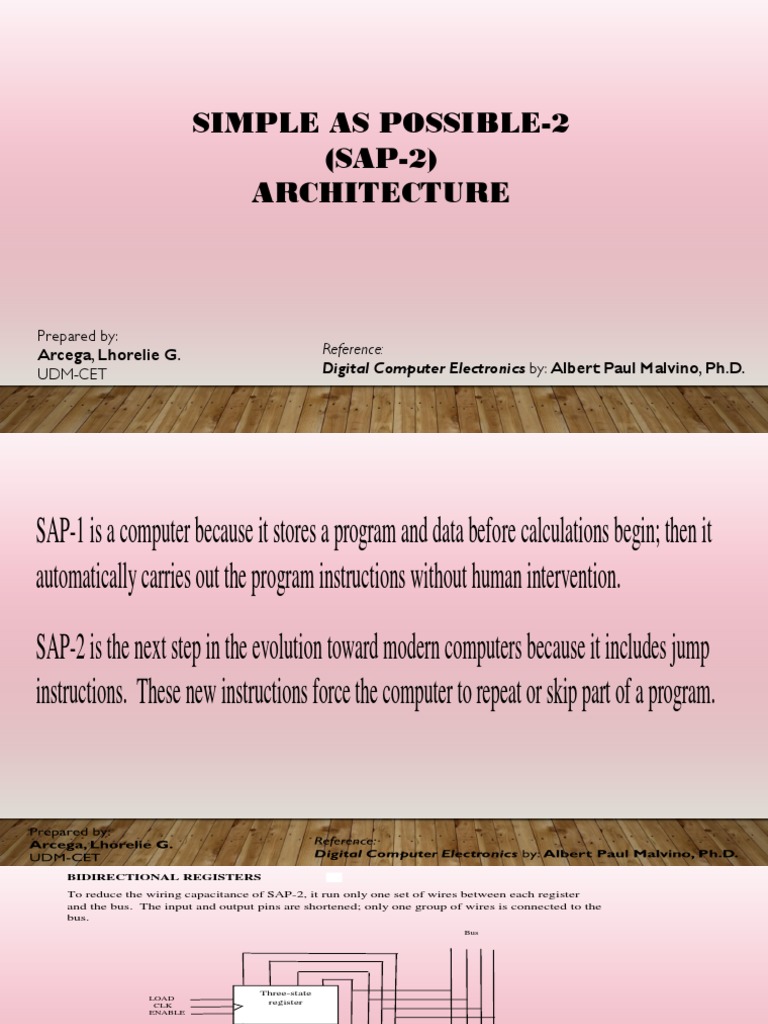 Sap 2 | PDF | Computer Program | Programming