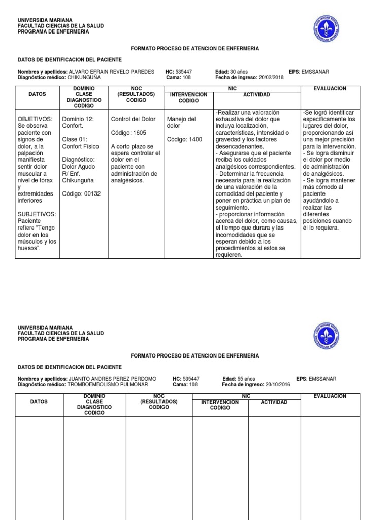 Formato Pae | Dolor | Enfermería