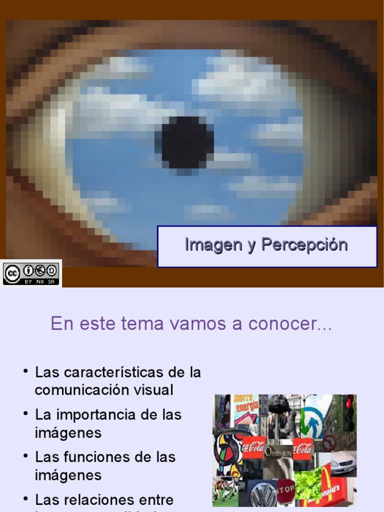Imagen y Percepción Visual | PDF | Imagen | Percepción visual