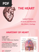 Cardiac Study Guide | PDF | Heart Failure | Cardiac Arrhythmia