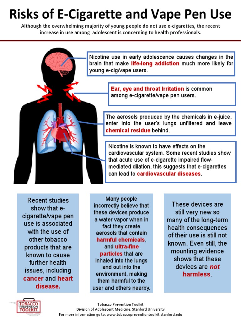 Risks of E-Cigarette Factsheet | PDF | Electronic Cigarette | Determinants Of Health