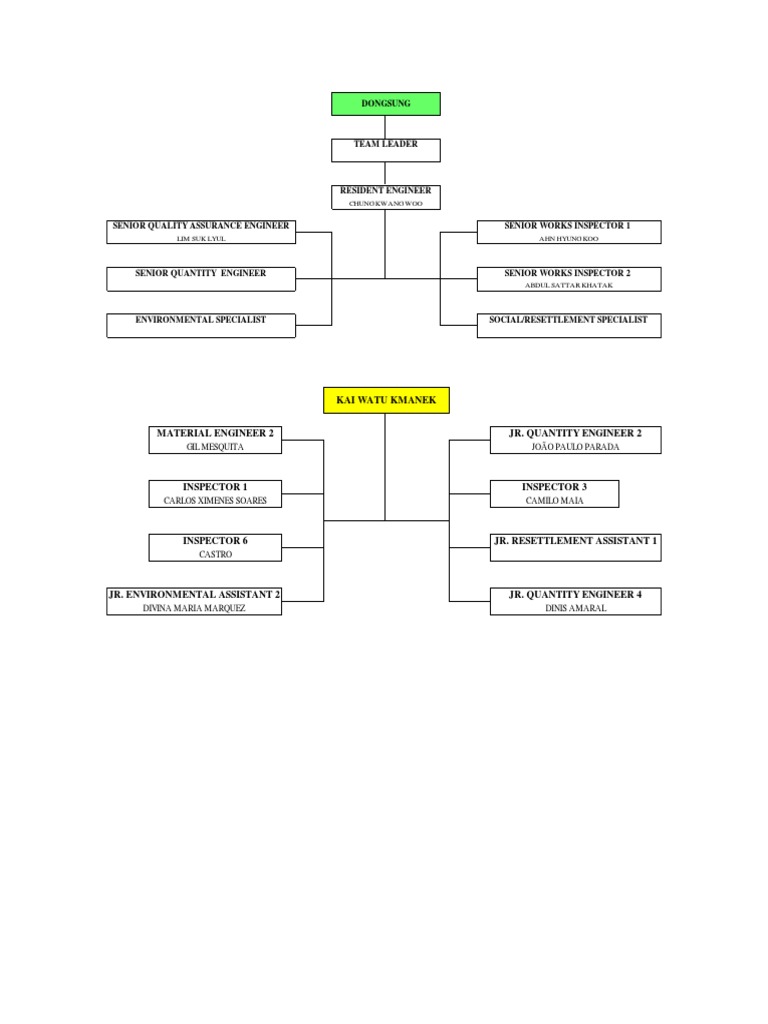 Team Roles in Engineering Project | PDF