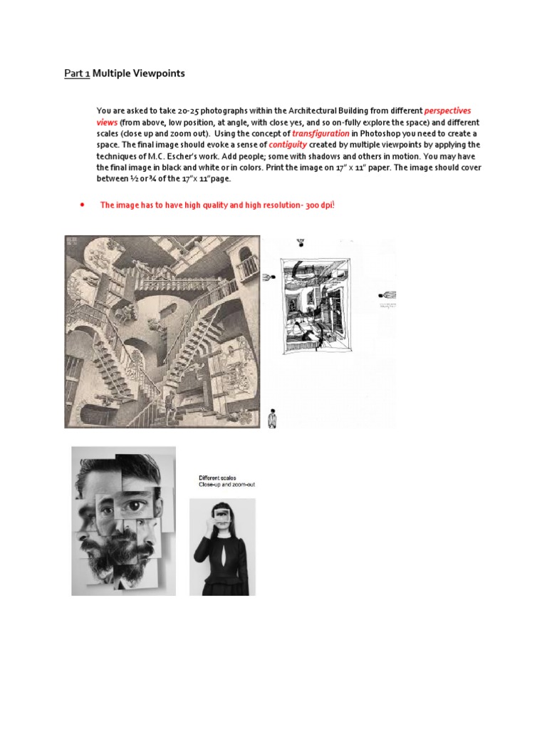 Multiple Viewpoints: Perspectives Views Transfiguration Contiguity | PDF