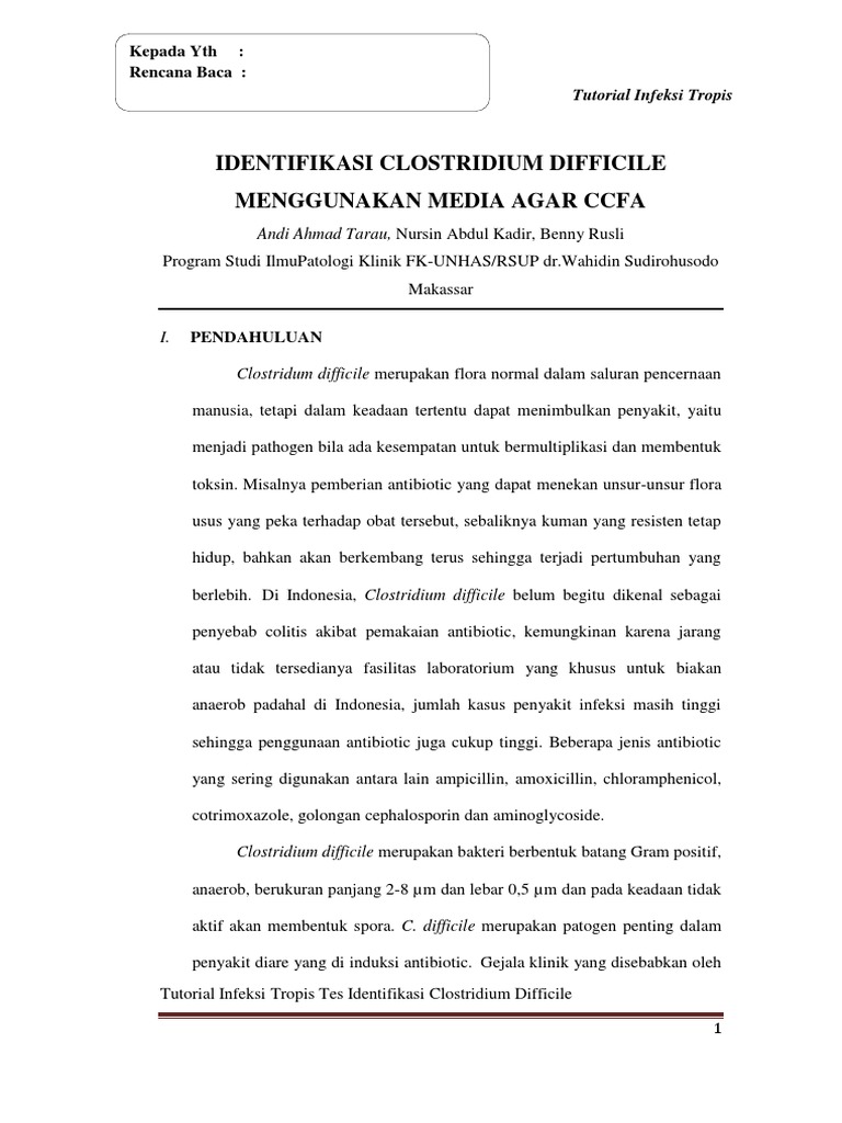 Identifikasi Clostridium Difficile Menggunakan Media Agar Ccfa | PDF