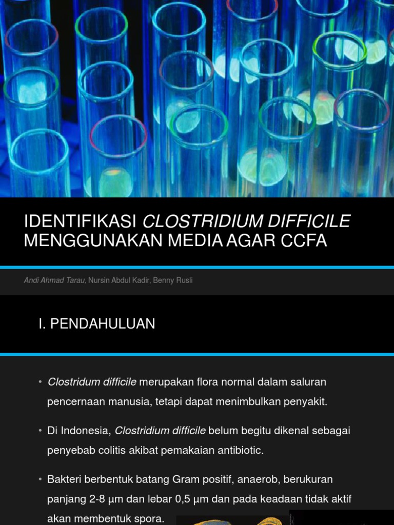 Identifikasi Clostridium Difficile Menggunakan Media Agar Ccfa | PDF