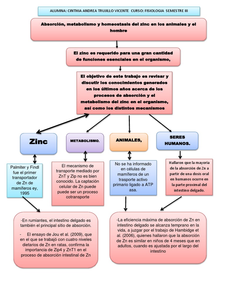 2027 Ucv Mapa Conseptual | PDF | Zinc | Cadmio