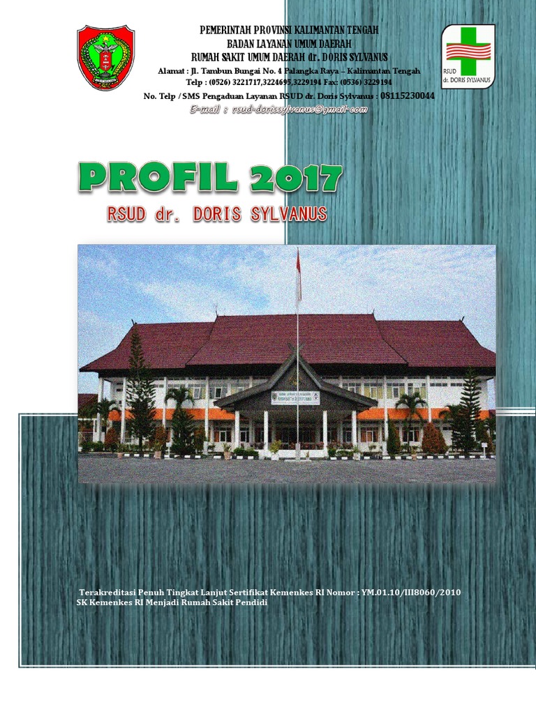 PROFIL RSUD Dr. DORIS SYLVANUS 2017 PDF | PDF